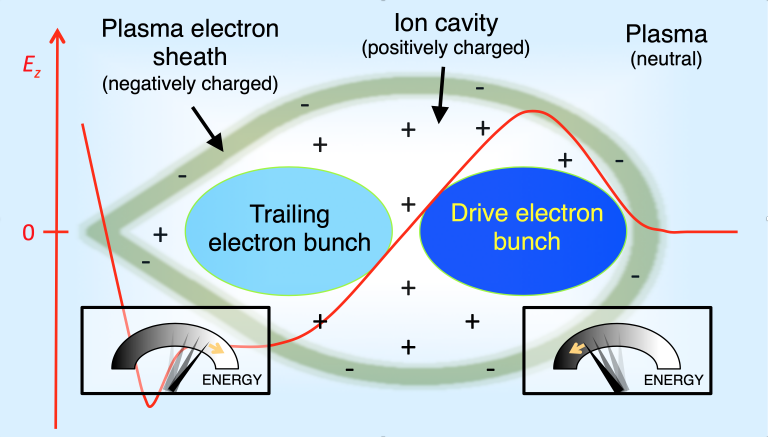 Particle-beam-driven plasma wakefield acceleration – Laboratoire d'Optique Appliquée